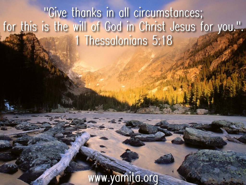 August 31, 2017 Give Thanks – Insights From Tom