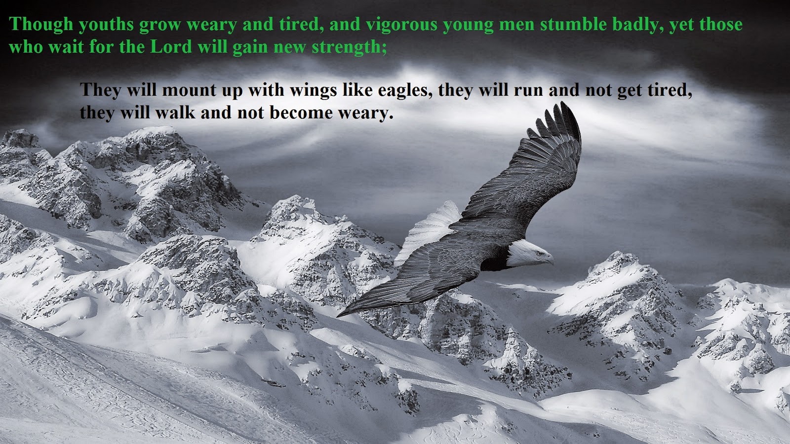 December 22, 2017 Memory Verse – Insights From Tom