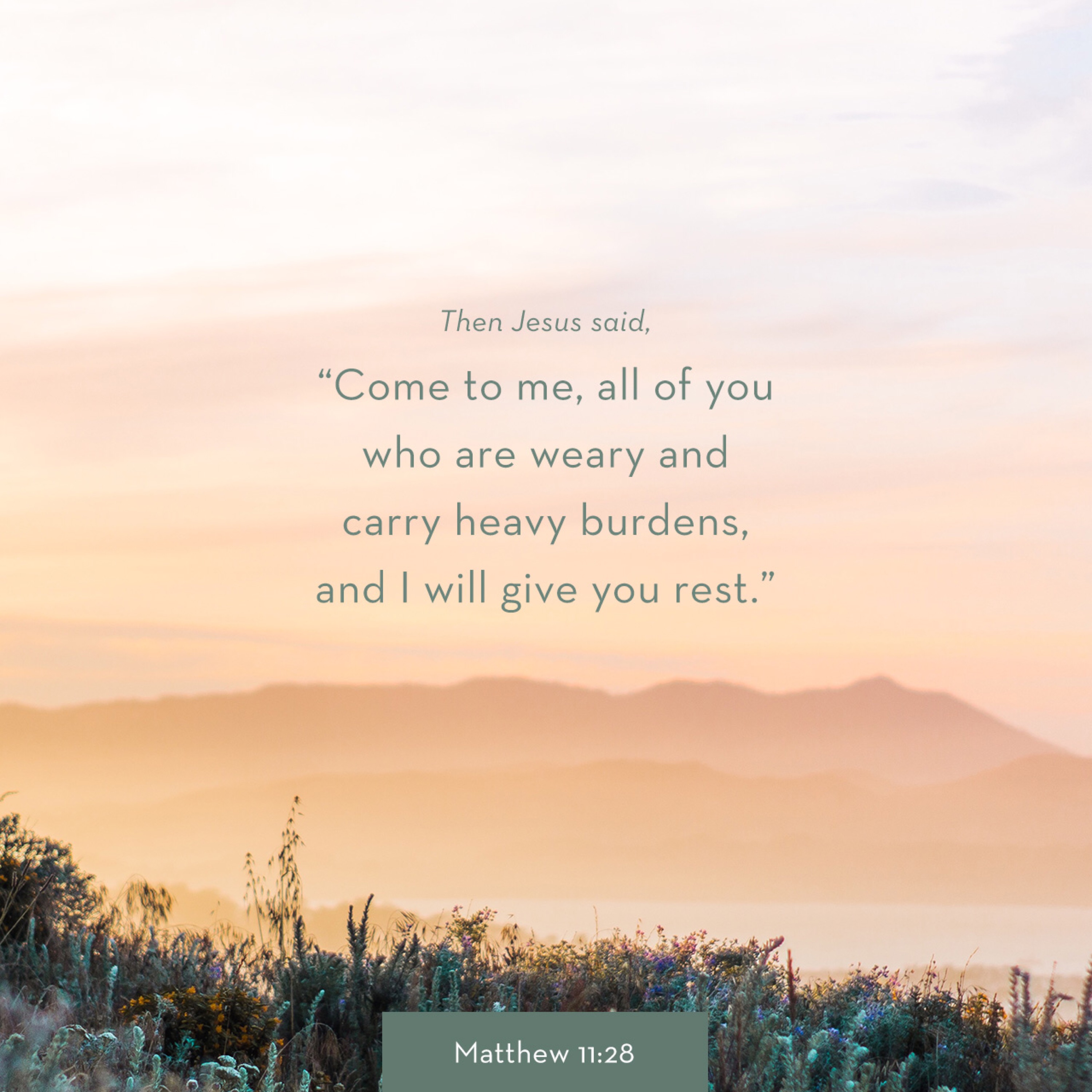 April 29, 2018 Verse of the Day – Insights From Tom