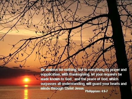 June 22, 2018 Memory Verse – Insights From Tom