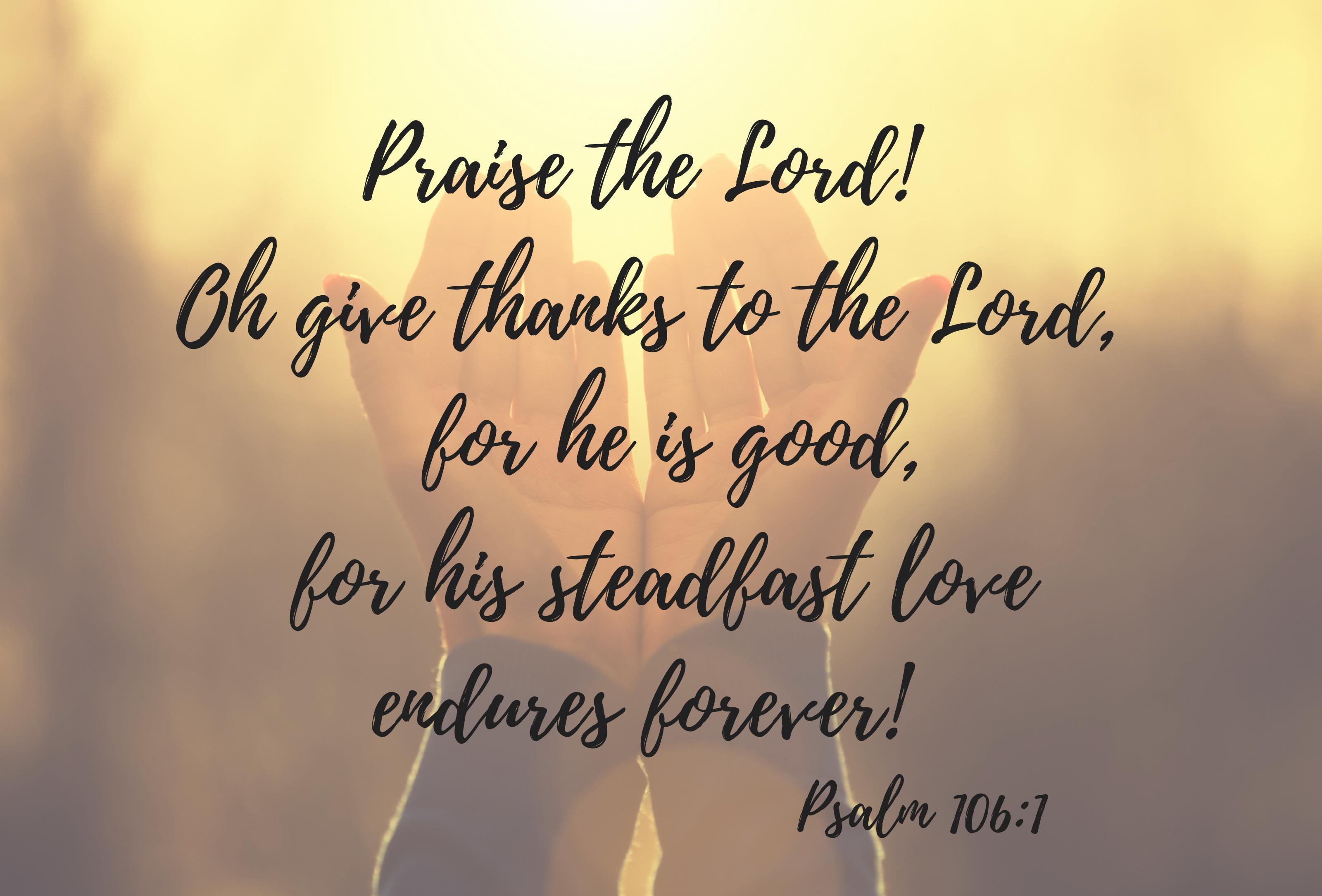 December 6, 2018 Give Thanks – Insights From Tom