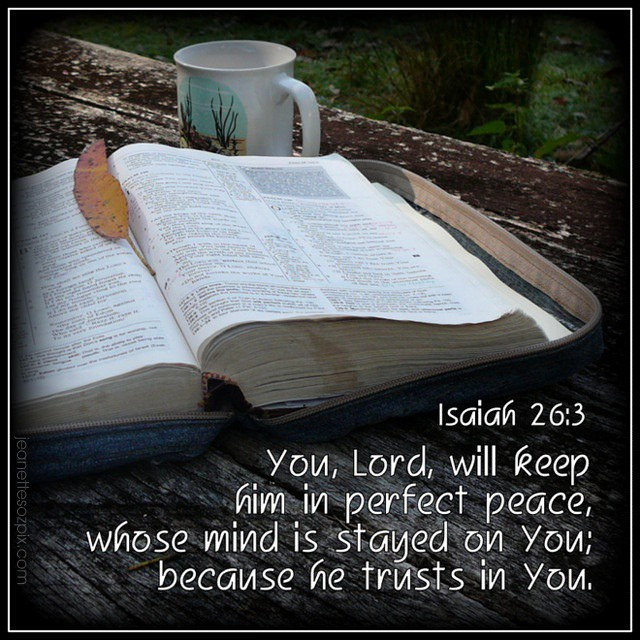 December 21, 2018 Memory Verse – Insights From Tom