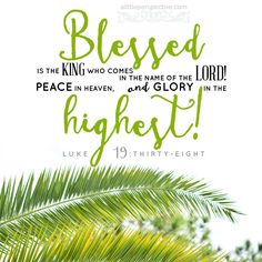 April 14, 2019 Verse Of The Day – Insights From Tom