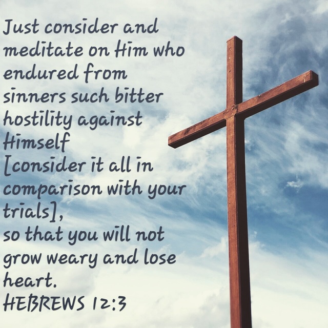 June 21, Memory Verse – Insights From Tom