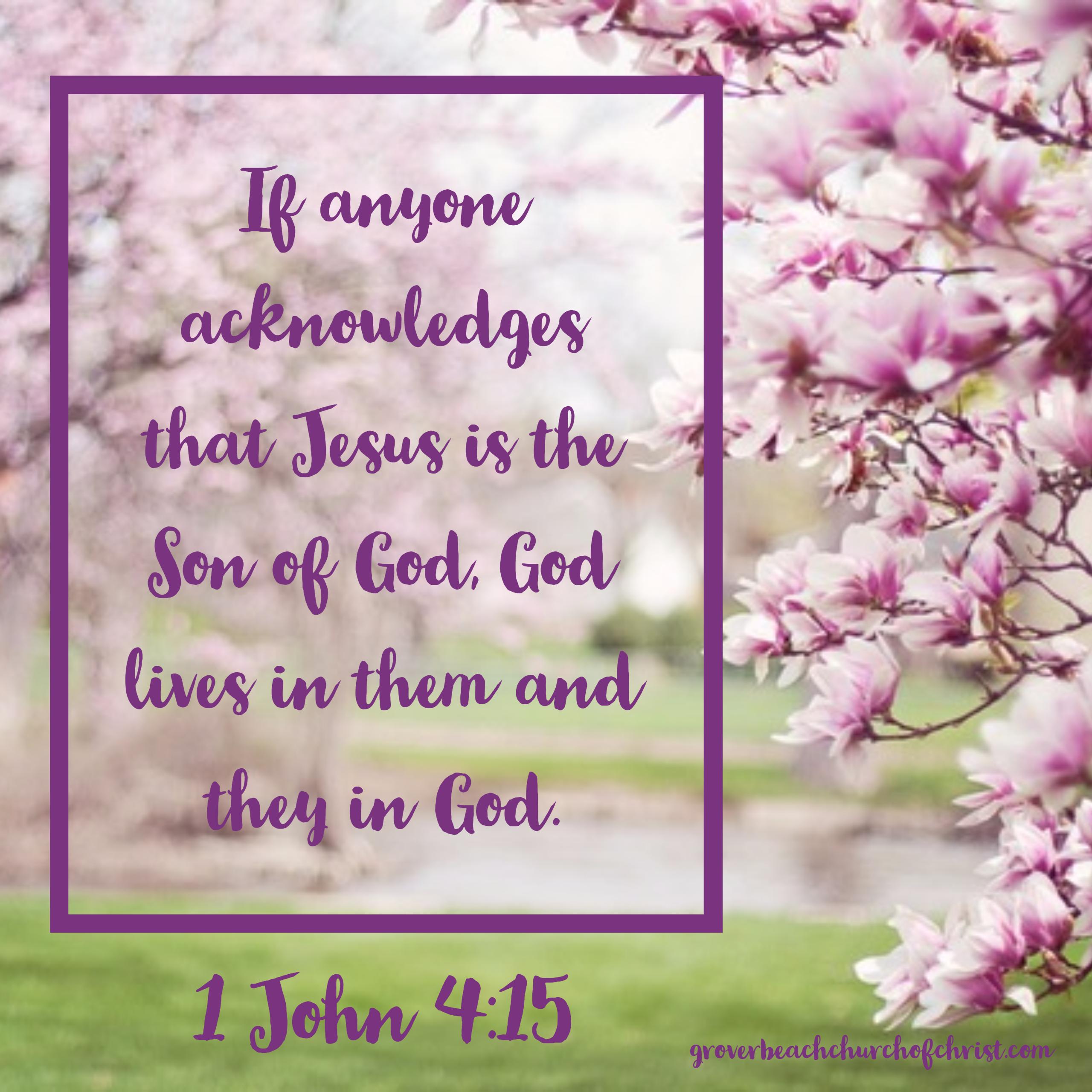 November 21, 2019 Verse Of The Day – Insights From Tom