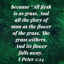 1-peter-1-24 – Insights From Tom