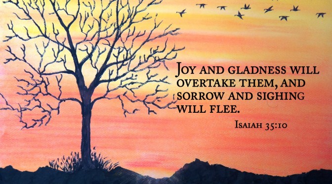 November 12,2020 Give Thanks – Insights From Tom