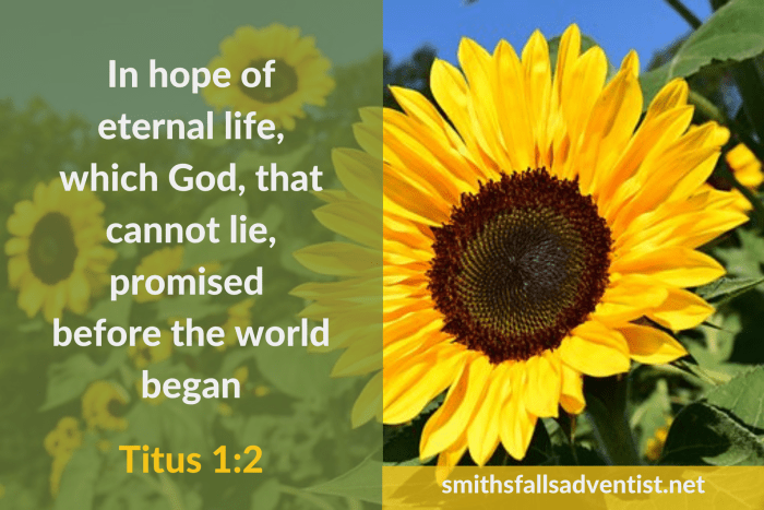 February 5, 2021 Memory Verse – Insights From Tom