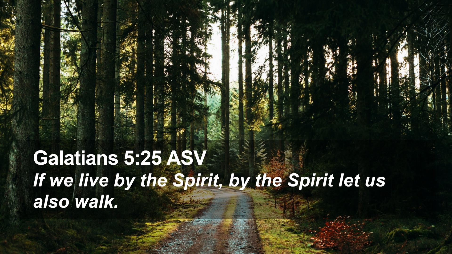 May 25, 2021 Verse Of The Day – Insights From Tom