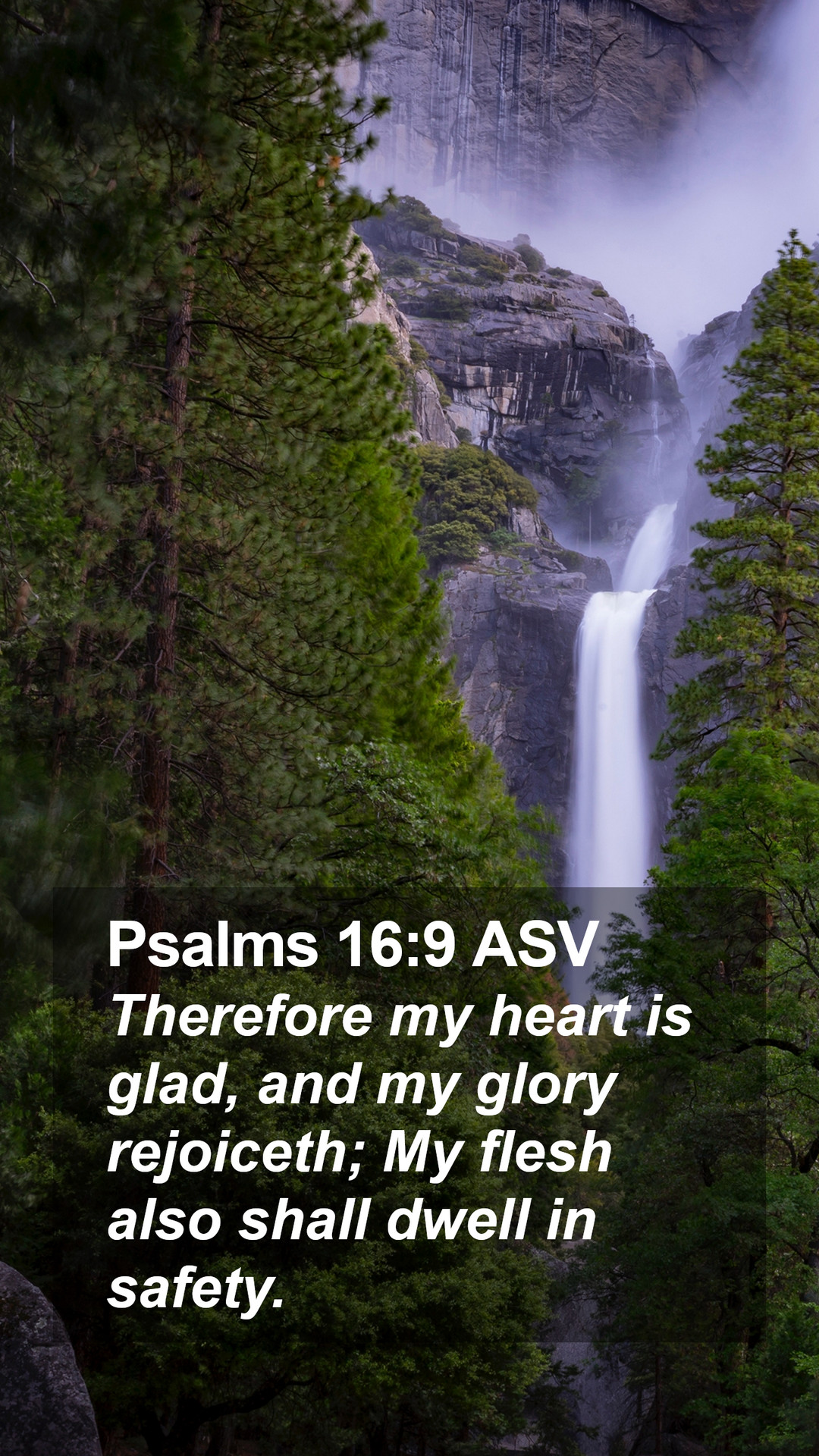 psalm-16_9 – Insights From Tom
