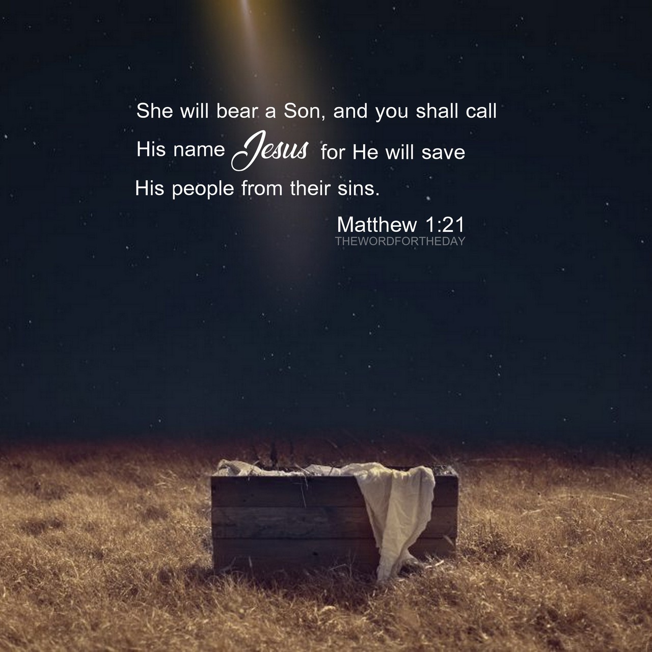 matthew-1-21 – Insights From Tom