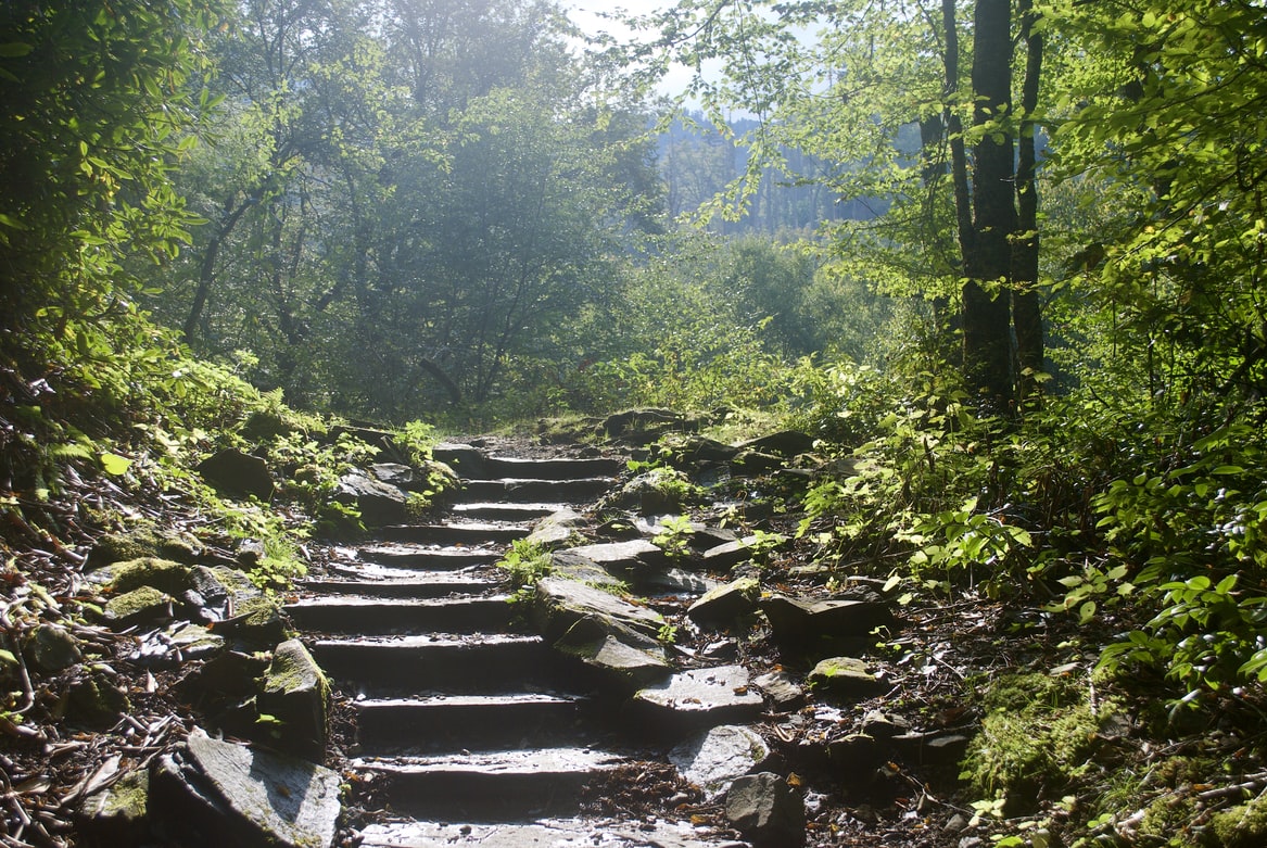 stone-step-path – Insights From Tom