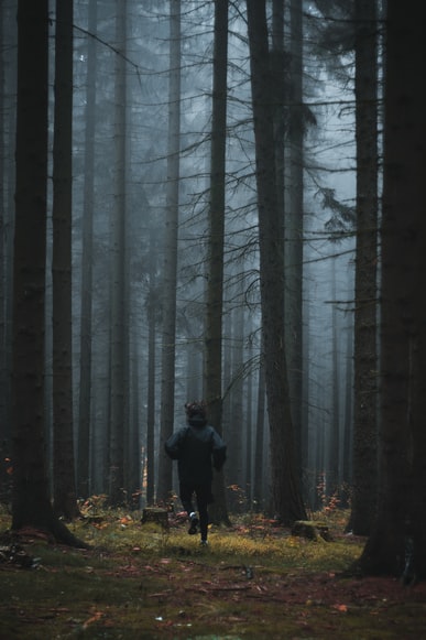 running-in-a-forest – Insights From Tom