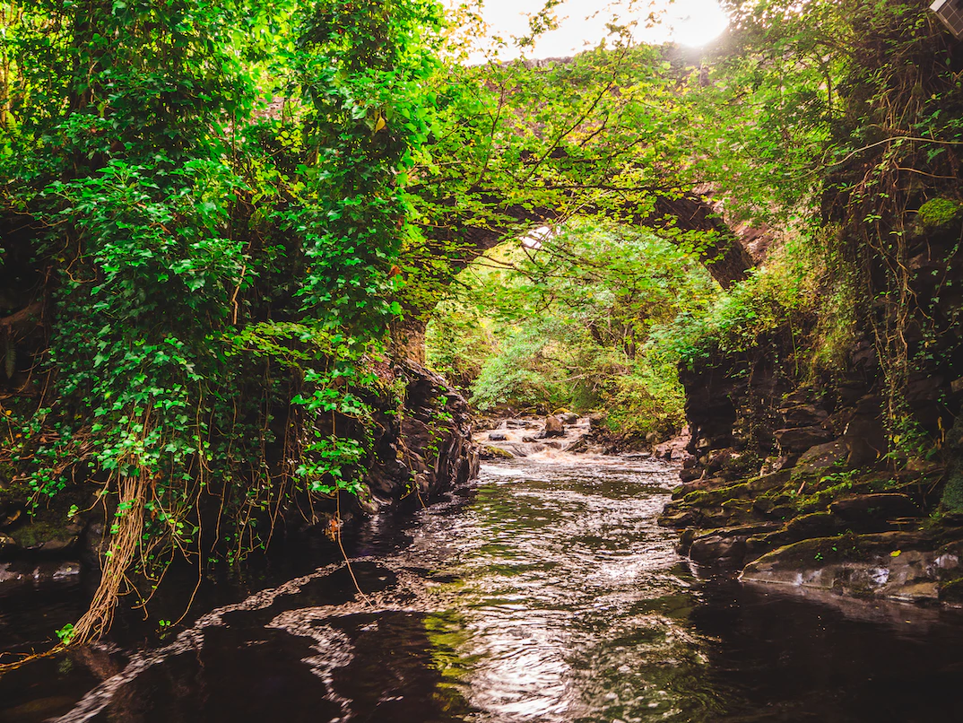 1 Samuel 13:12 Feeling Compelled – Insights From Tom