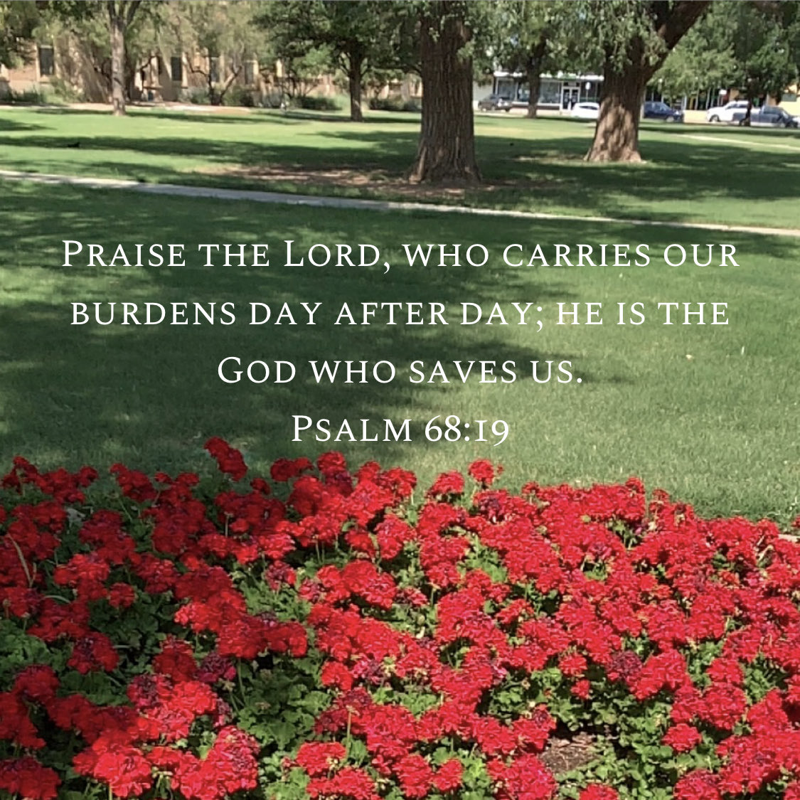 August 16, 2022 Verse Of The Day – Insights From Tom