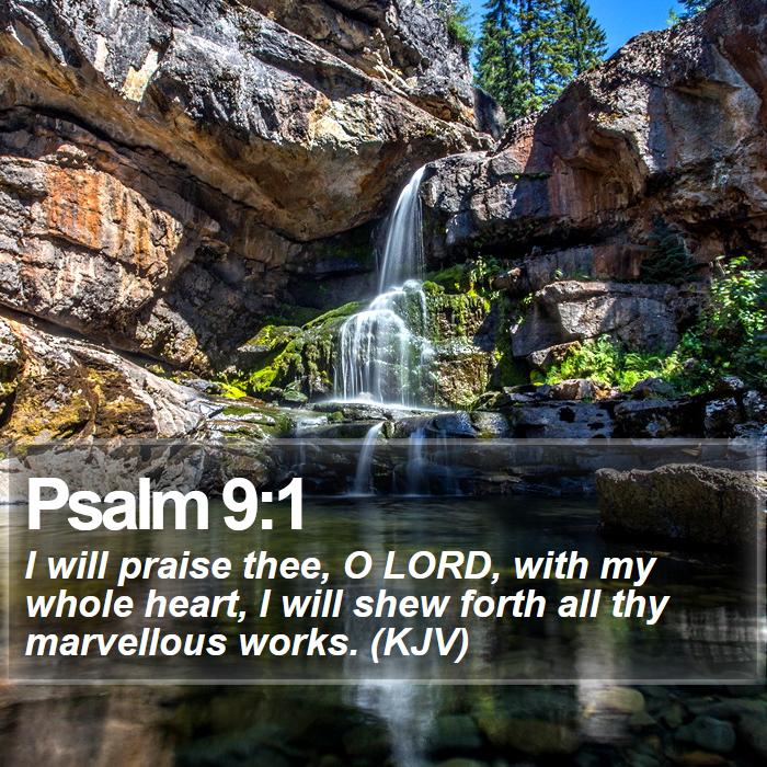 November 24, 2022 Verse Of The Day – Insights From Tom