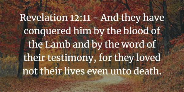 December 23, 2022 Memory Verse – Insights From Tom