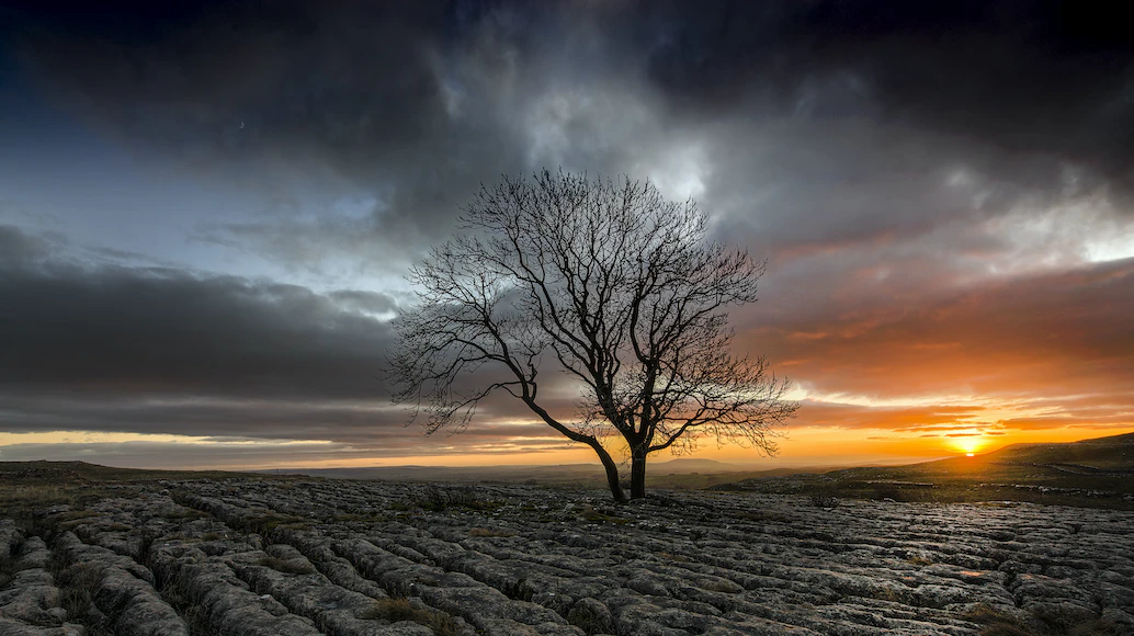 Jeremiah 12:10 Destroyed Vineyard – Insights From Tom