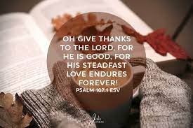 November 23, 2023 Verse Of The Day – Insights From Tom