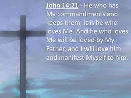 December 14, 2023 Verse Of The Day – Insights From Tom