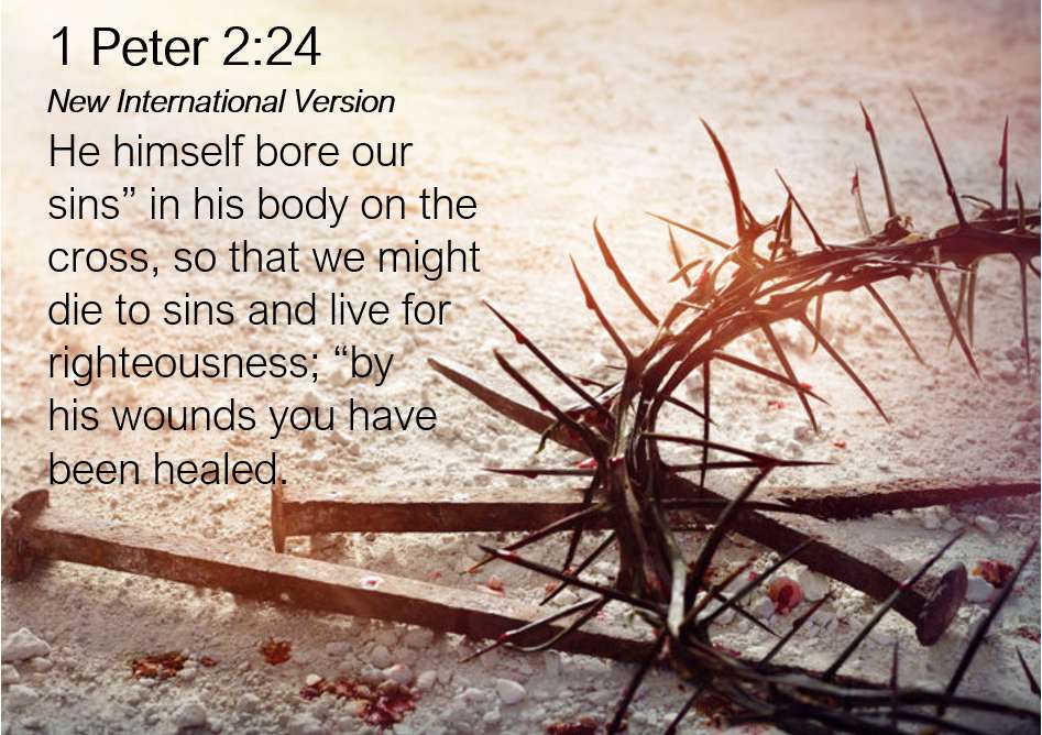 October 20, 2024 Verse Of The Day – Insights From Tom