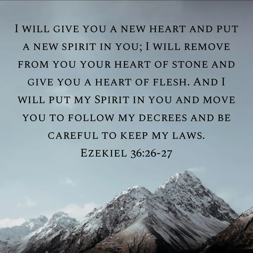 November 27, 2024 Promise Of God – Insights From Tom