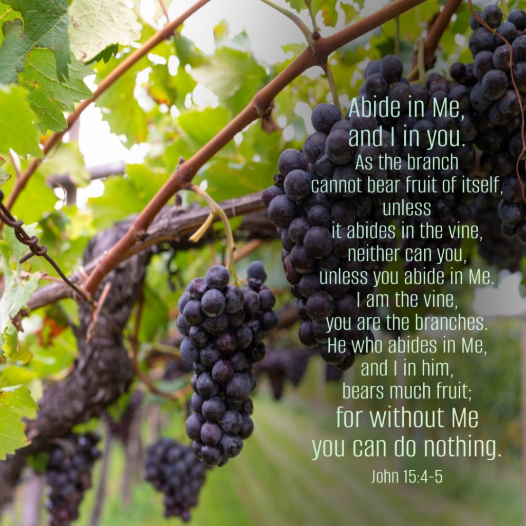 December 30, 2024 Verse Of The Day – Insights From Tom