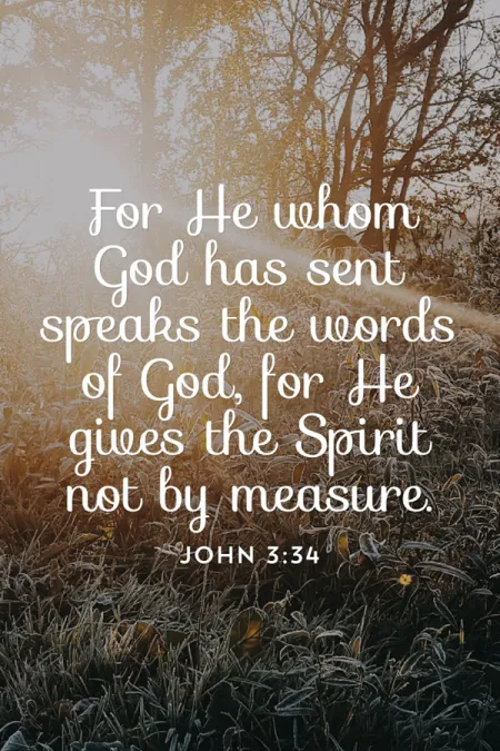 December 25, 2024 Promise Of God – Insights From Tom