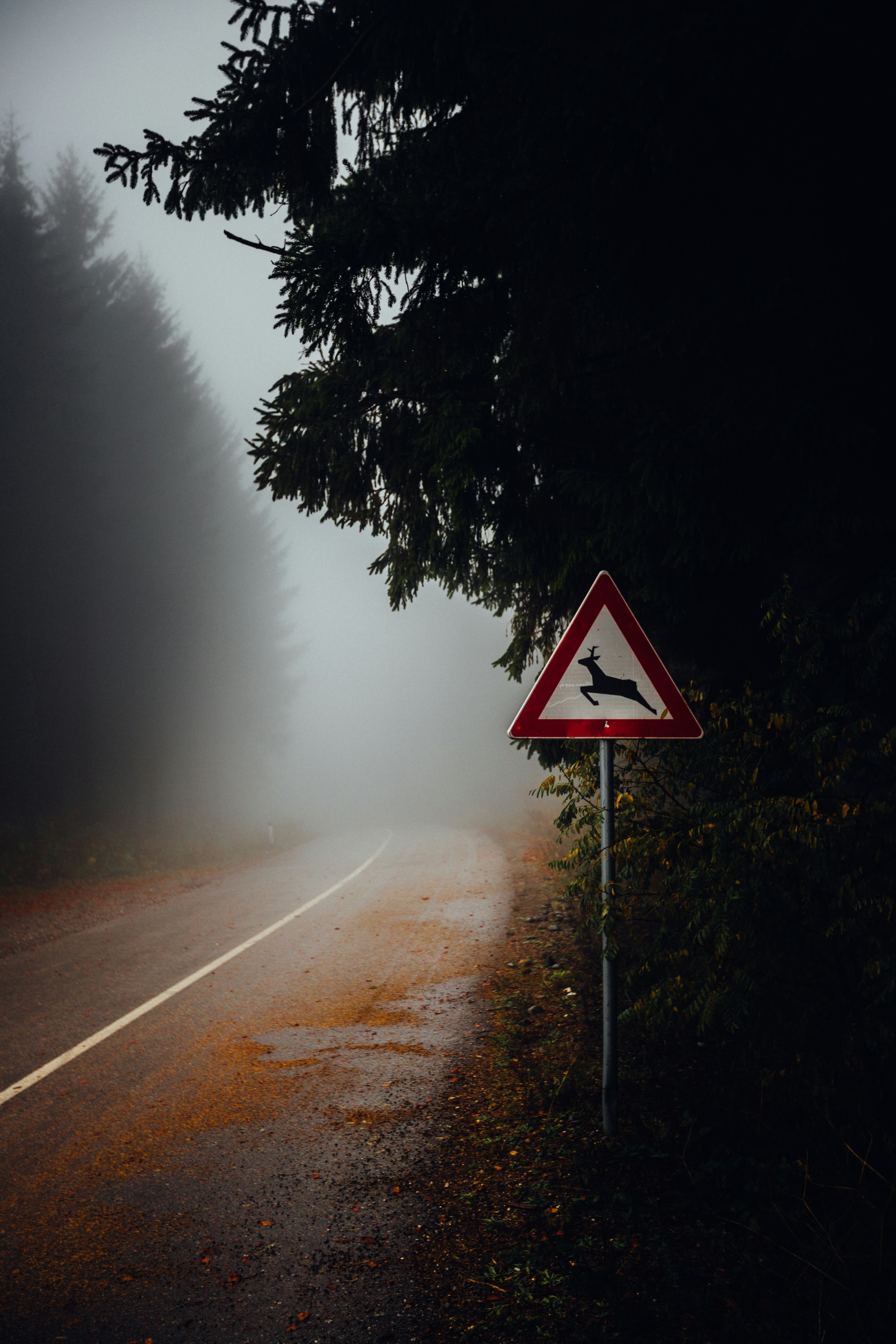 Genesis 24:6 Warning To Not Go Back – Insights From Tom