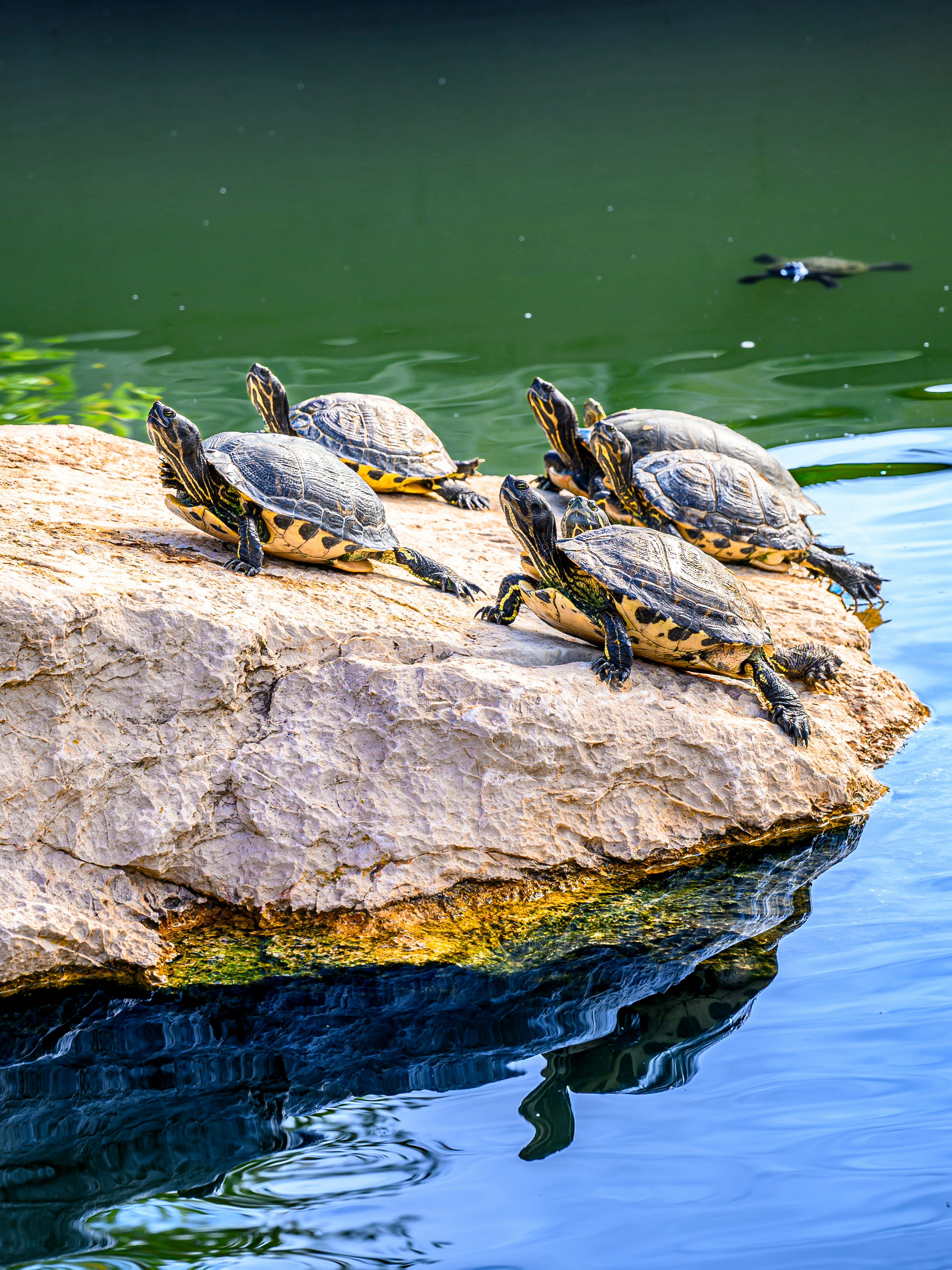 Job 5:8 Seeking God – Insights From Tom
